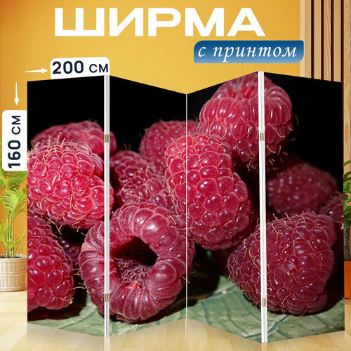 Ширма перегородка с принтом "Малина, фрукты, еда" на холсте - 200x160 см. для зонирования, раскладная