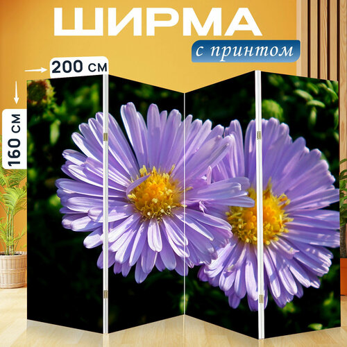 Ширма перегородка с принтом "Цветы, фиолетовый, весна" на холсте - 200x160 см. для зонирования, раскладная