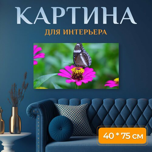 Картина на холсте "Бабочка, цветок, цветочная пыльца" на подрамнике 75х40 см. для интерьера