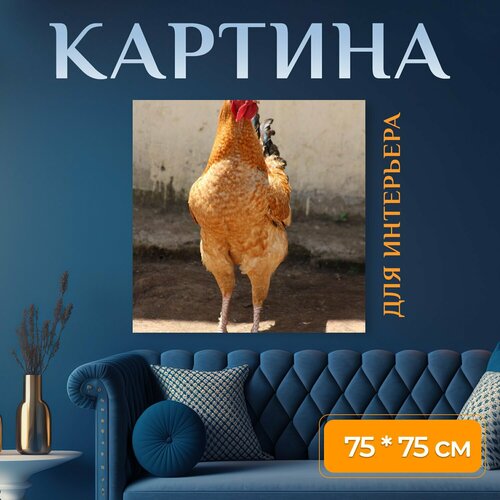Картина на холсте "Курица, ферма, домашнее животное" на подрамнике 75х75 см. для интерьера