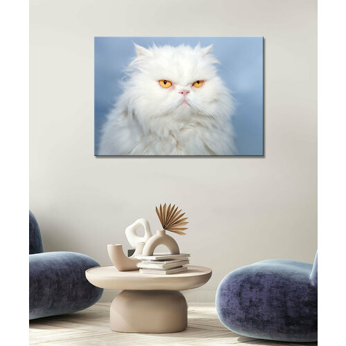 Картина - кошка, персидская кошка, домашняя кошка, ласковая кошка, кот (291) 60х80