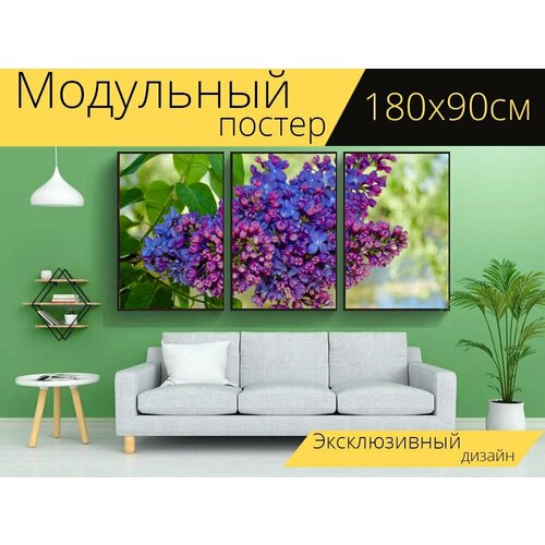 Модульный постер "Сирень, сиреневый куст, цветы сирени" 180 x 90 см. для интерьера