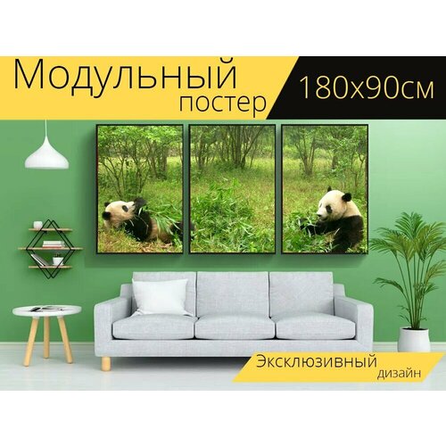 Модульный постер "Панды, две панды, китай" 180 x 90 см. для интерьера