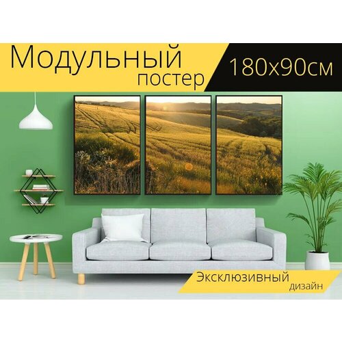 Модульный постер "Поле, летом, природа" 180 x 90 см. для интерьера