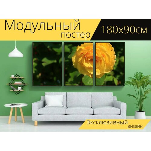 Модульный постер "Rose, роуз, желтый" 180 x 90 см. для интерьера