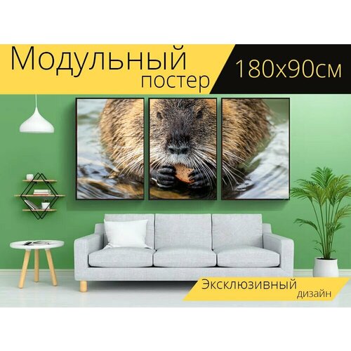Модульный постер "Бобровая крыса, нутрия, грызун" 180 x 90 см. для интерьера