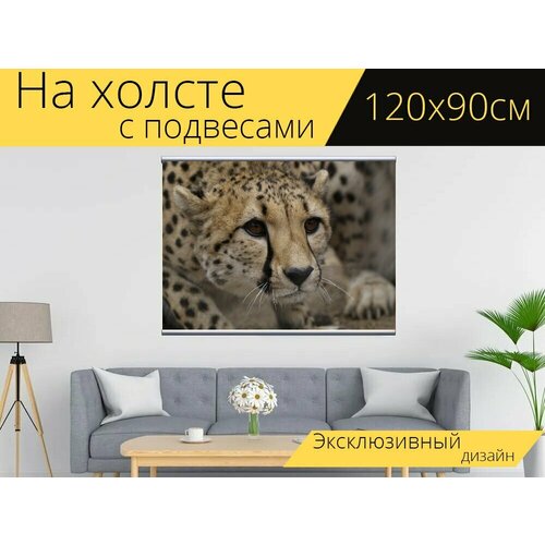 Картина на холсте "Гепард, дикая природа, африка" с подвесами 120х90 см. для интерьера