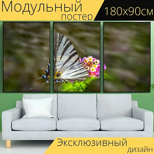 Модульный постер "Дефицитный ласточкин хвост, бабочка, цветы" 180 x 90 см. для интерьера