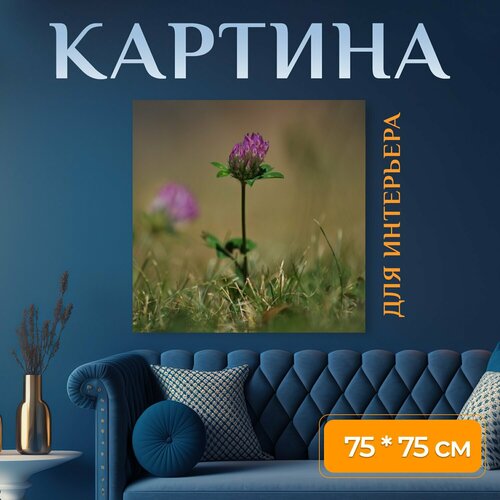 Картина на холсте "Цветок, лепестки, трава" на подрамнике 75х75 см. для интерьера