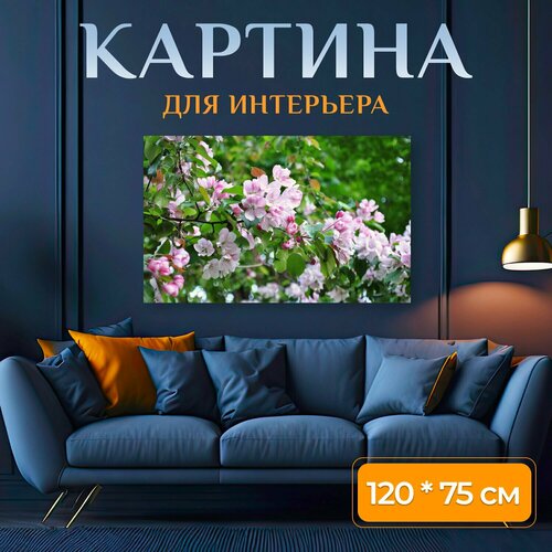 Картина на холсте "Весна, сакура, цветы" на подрамнике 120х75 см. для интерьера