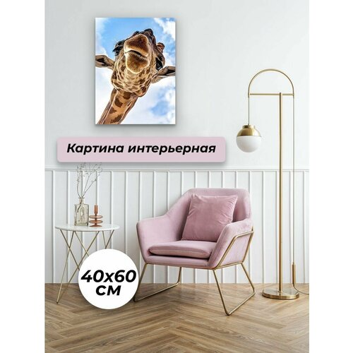 Картина на стену 40х60 см Жираф Милый Небо