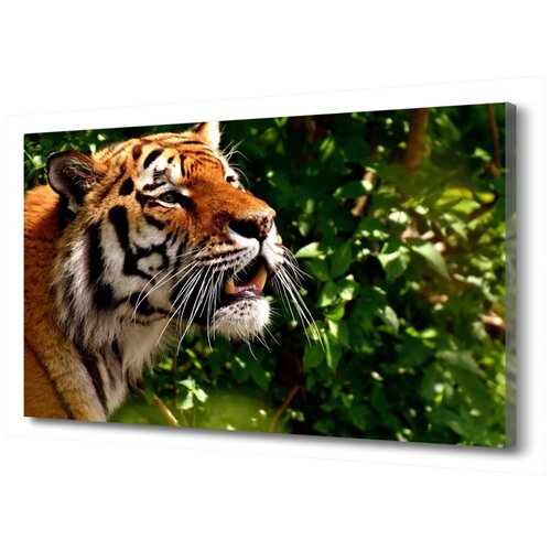 Картина на холсте "Тигр в зелени" PRC-1185 (45x30см). Натуральный холст
