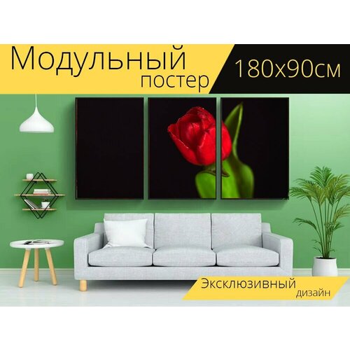 Модульный постер "Тюльпан, цветок, красный цветок" 180 x 90 см. для интерьера