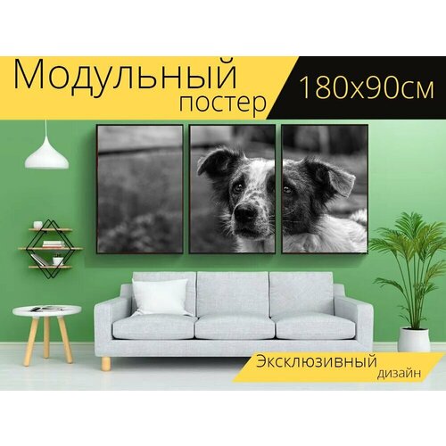 Модульный постер "Собака, животное, домашние питомцы" 180 x 90 см. для интерьера