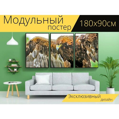 Модульный постер "Золотой орёл, орел, золотой" 180 x 90 см. для интерьера