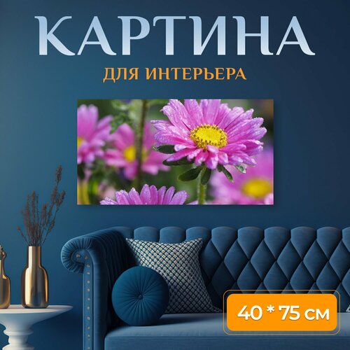 Картина на холсте "Цветы, растения, цветущий" на подрамнике 75х40 см. для интерьера