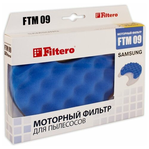 Filtero Моторные фильтры FTM 09, разноцветный, 1 шт.