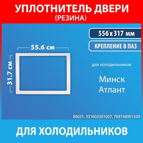 Уплотнительная резина 55.6*31.7 для холодильников Минск, Атлант (331603301007, 769748901509)