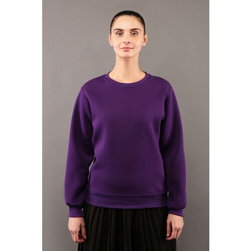 Свитшот Магазин Толстовок, размер 2XL-48-50-Woman-(Женский), фиолетовый