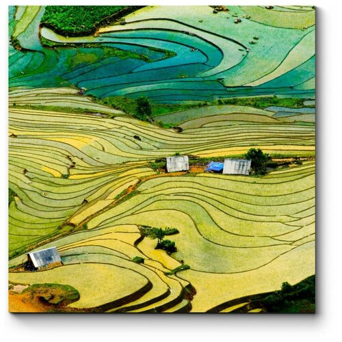 Модульная картина Рисовые поля в провинции Вьетнама 100x100