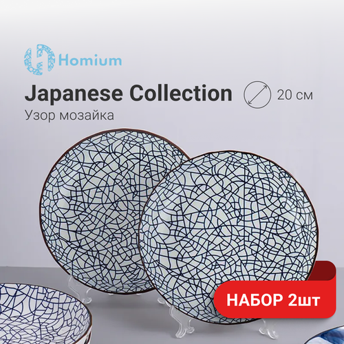 Тарелки ZDK Kitchen, Japanese Collection, цвет голубой, карелка керамическая D20см, набор 2штуки