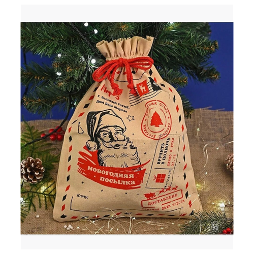 Новогодний подарочный мешок "Дед Мороз", 20*30 см