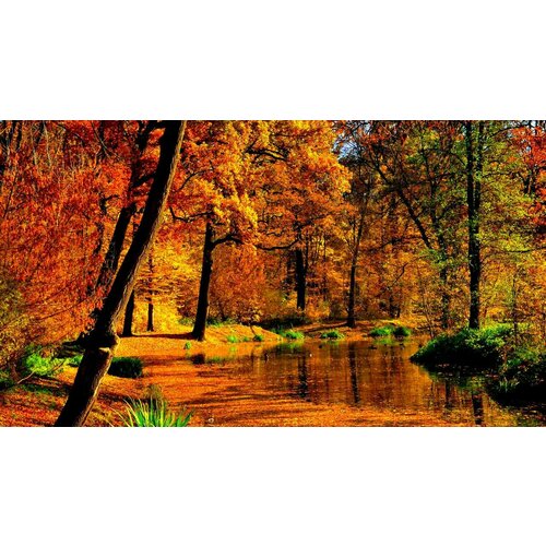 Картина на холсте 60x110 Альянс Лес "Деревья осень пруд пейзаж лес" на подрамнике / интерьер/ декор