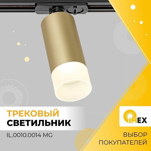 Светильник на однофазный трек IMEX IL.0010.0014 MG, золото