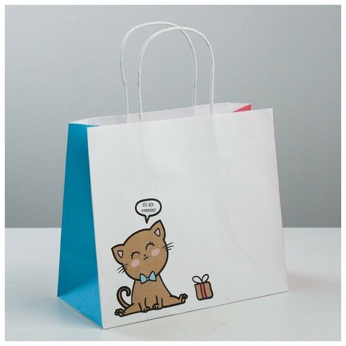 Пакет подарочный крафтовый «Котик», 25 × 22 × 12 см