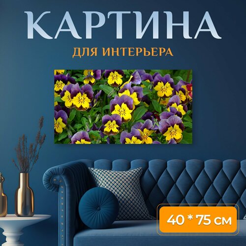 Картина на холсте "Анютины глазки, цветы, красочные" на подрамнике 75х40 см. для интерьера