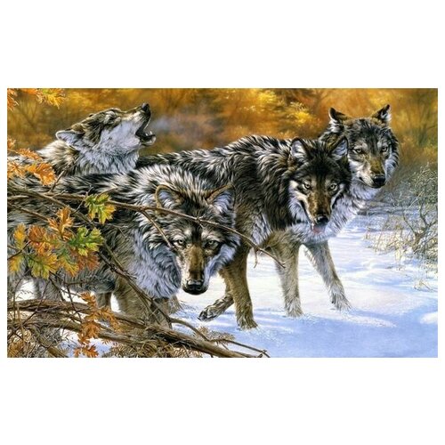Постер на холсте Волки (Wolves) №1 64см. x 40см.