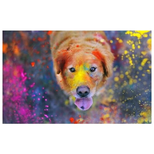 Постер на холсте Собака в краске (Dog in the paint) 48см. x 30см.
