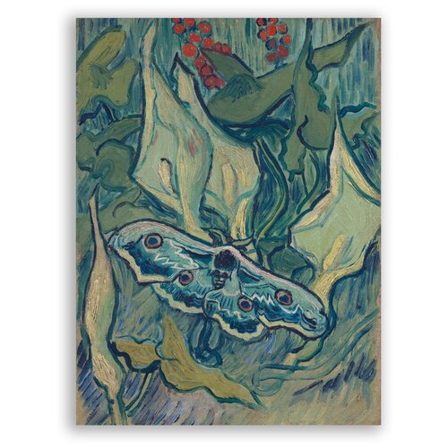 Картина на холсте с подрамником / Van Gogh - Deaths Head Moth, 1889 / Ван Гог