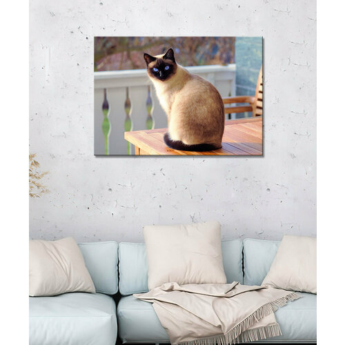 Картина - кошка, сиамская кошка, домашняя кошка, ласковая кошка, короткошерстная кошка, кот (98) 50х70