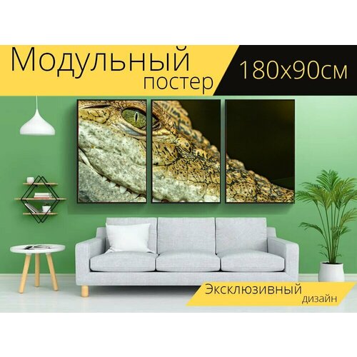 Модульный постер "Крокодил, глаз, кожа" 180 x 90 см. для интерьера