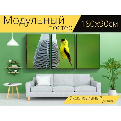 Модульный постер "Золотой зяблик, птица, птичий" 180 x 90 см. для интерьера