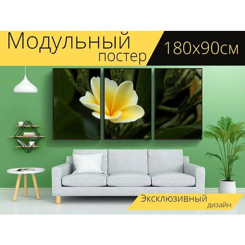 Модульный постер "Плюмерия, цветок, камбоджа" 180 x 90 см. для интерьера