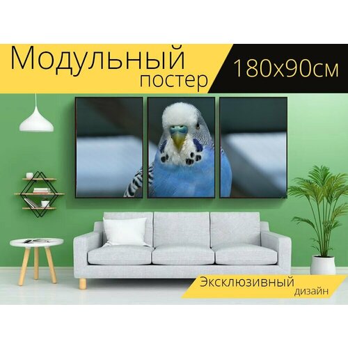 Модульный постер "Попугай, птица, оперение" 180 x 90 см. для интерьера