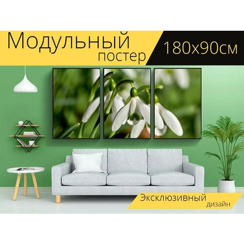 Модульный постер "Природа, цветок, подснежник" 180 x 90 см. для интерьера
