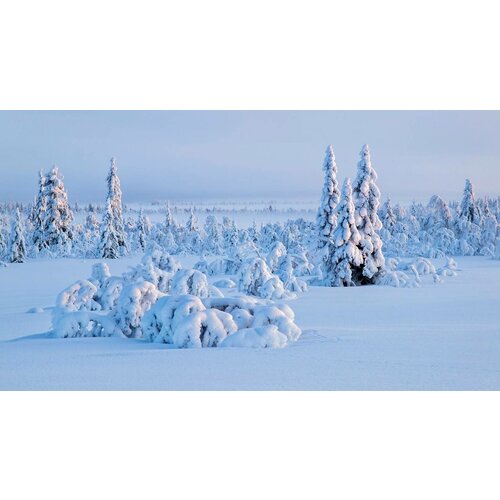 Картина на холсте 60x110 LinxOne "Небо деревья снег зима ель" интерьерная для дома / на стену / на кухню / с подрамником