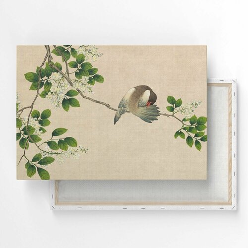 Картина на холсте, репродукция / Чжан Руоай - Preening Bird / Размер 30 x 40 см