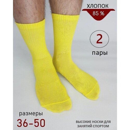 Носки BIZ-ONE, 2 пары, размер 46-47, желтый