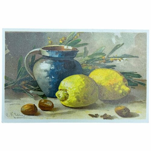 Почтовая открытка "Катарина Клейн. Лимоны" 1900-1917 гг. Европа