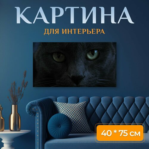 Картина на холсте "Кошка, черный кот, зеленые глаза" на подрамнике 75х40 см. для интерьера