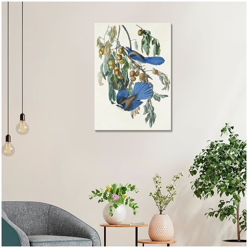Картина - Голубая кустарниковая сойка Птицы Америки 20х30