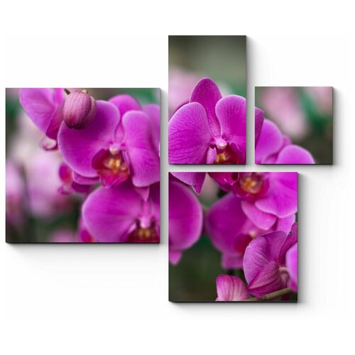 Модульная картина Прекрасные и нежные орхидеи 122x102