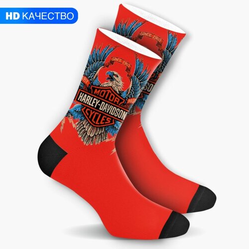 Носки MimiSocks, размер 44/46, мультиколор