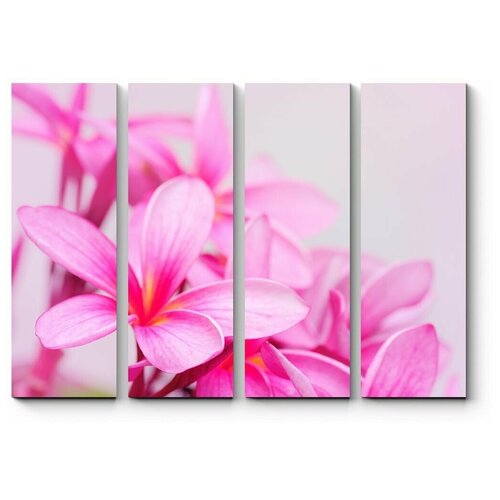 Модульная картина Свежие тропические цветы 120x90
