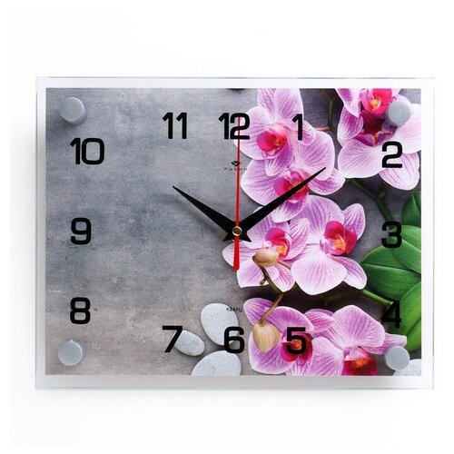 Часы-картина настенные, серия: Интерьер, "Орхидеи", плавный ход, 20 х 26 см