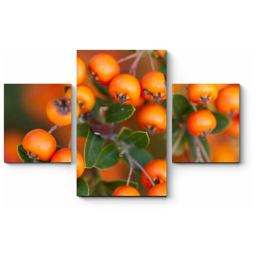 Модульная картина Спелые ягоды рябины 80x52